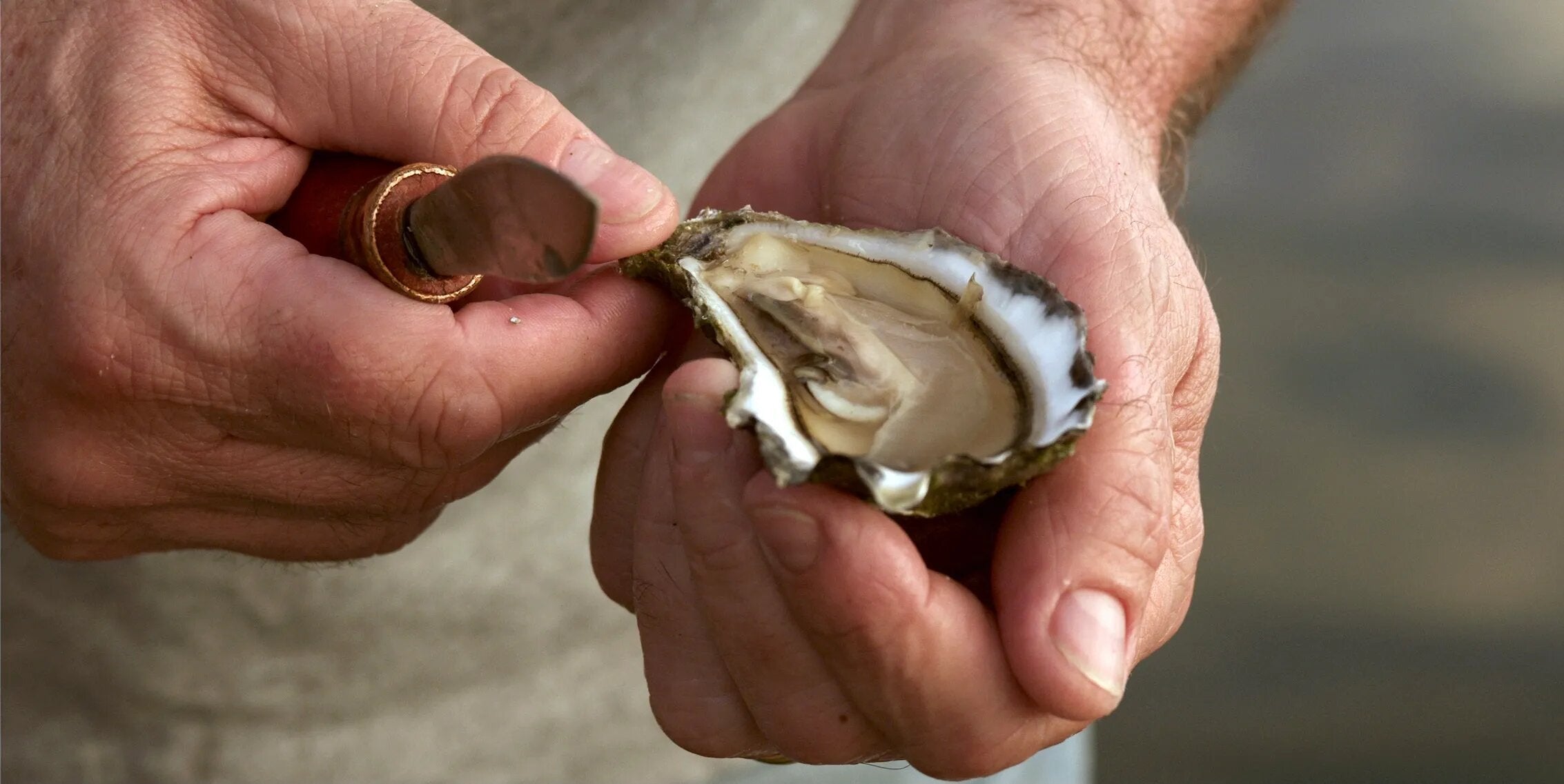 YOUR 101 TO SHUCKING – east33sydney